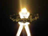 Rukia Kuchiki & Ichigo Kurosaki vs. Fishbone D | Bleach Wiki | Fandom