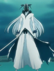 Zangetsu (dusza) | Bleach Wiki | Fandom