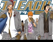 KING OF THE KILL | Bleach Wiki | Fandom