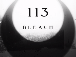 Prelude to the Apocalypse, The Arrancar's Attack | Bleach Wiki | Fandom