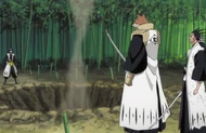 Reigai Uprising | Bleach Wiki | Fandom