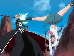 Zangetsu Bleach Wiki