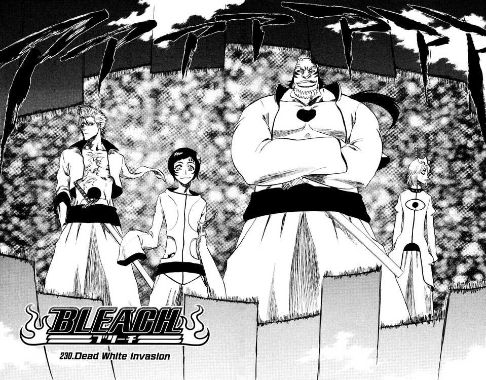 Chapitre 230 | Bleach Wiki | Fandom
