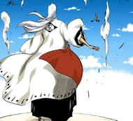 Lilynette Gingerbuck/Image Gallery | Bleach Wiki | Fandom