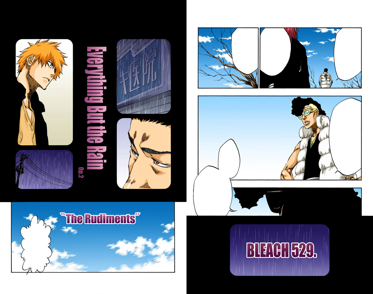 529. Everything But The Rain Op.2 "The Rudiments" | Bleach Wiki | Fandom