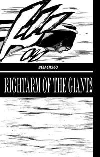 Chapitre 260 | Bleach Wiki | Fandom