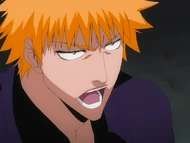 Visored! The Power of the Awakened | Bleach Wiki | Fandom