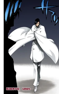 THE LAST 9DAYS | Bleach Wiki | Fandom