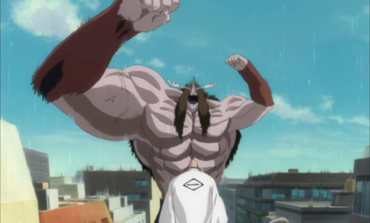 Battle of the Chimera: Gotei 13 vs. Ayon | Bleach Wiki | Fandom