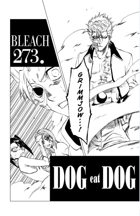 Chapitre 273 | Bleach Wiki | Fandom