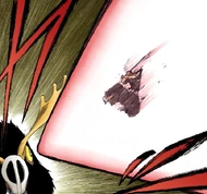 Ayon/Image Gallery | Bleach Wiki | Fandom