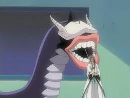 Bawabawa | Bleach Wiki | Fandom
