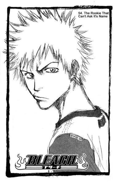 Chapitre 54 | Bleach Wiki | Fandom