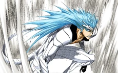 Grimmjow Jaegerjaquez | Bleach Wiki | Fandom