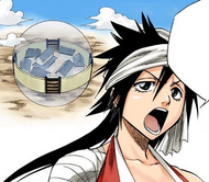 Ryoka Invasion | Bleach Wiki | Fandom