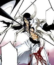 Kenpachi Zaraki vs. Nnoitra Gilga | Bleach Wiki | Fandom