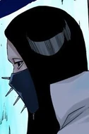 Äs Nödt/Image Gallery | Bleach Wiki | Fandom
