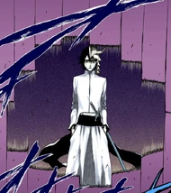 Good Bye Halcyon Days | Bleach Wiki | Fandom