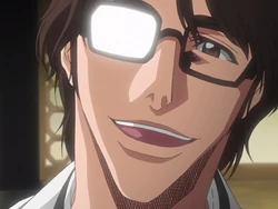 Bleach Captain Aizen