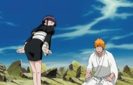 Ichigo Kurosaki vs. Ōko Yushima | Bleach Wiki | Fandom