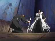 Desperation! The Broken Zangetsu | Bleach Wiki | Fandom
