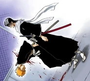 Senka | Bleach Wiki | Fandom
