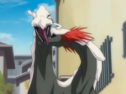 Bleach Anime Hollow