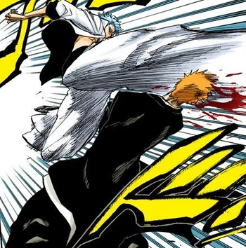 Ichigo Kurosaki vs. Grimmjow Jaegerjaquez | Bleach Wiki | Fandom