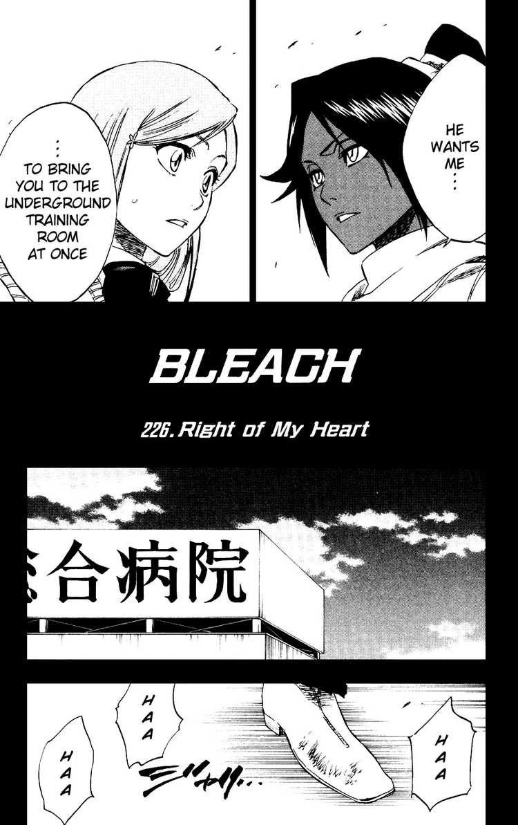 Chapitre 226 | Bleach Wiki | Fandom