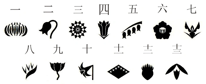 Les 13 divisions | Bleach Wiki | Fandom