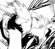 Raikōhō | Bleach Wiki | Fandom