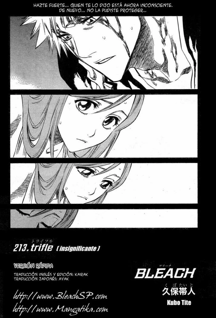 213. Trifle | Bleach Wiki | Fandom