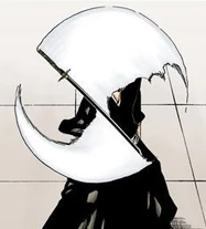 Tenran/Image Gallery | Bleach Wiki | Fandom