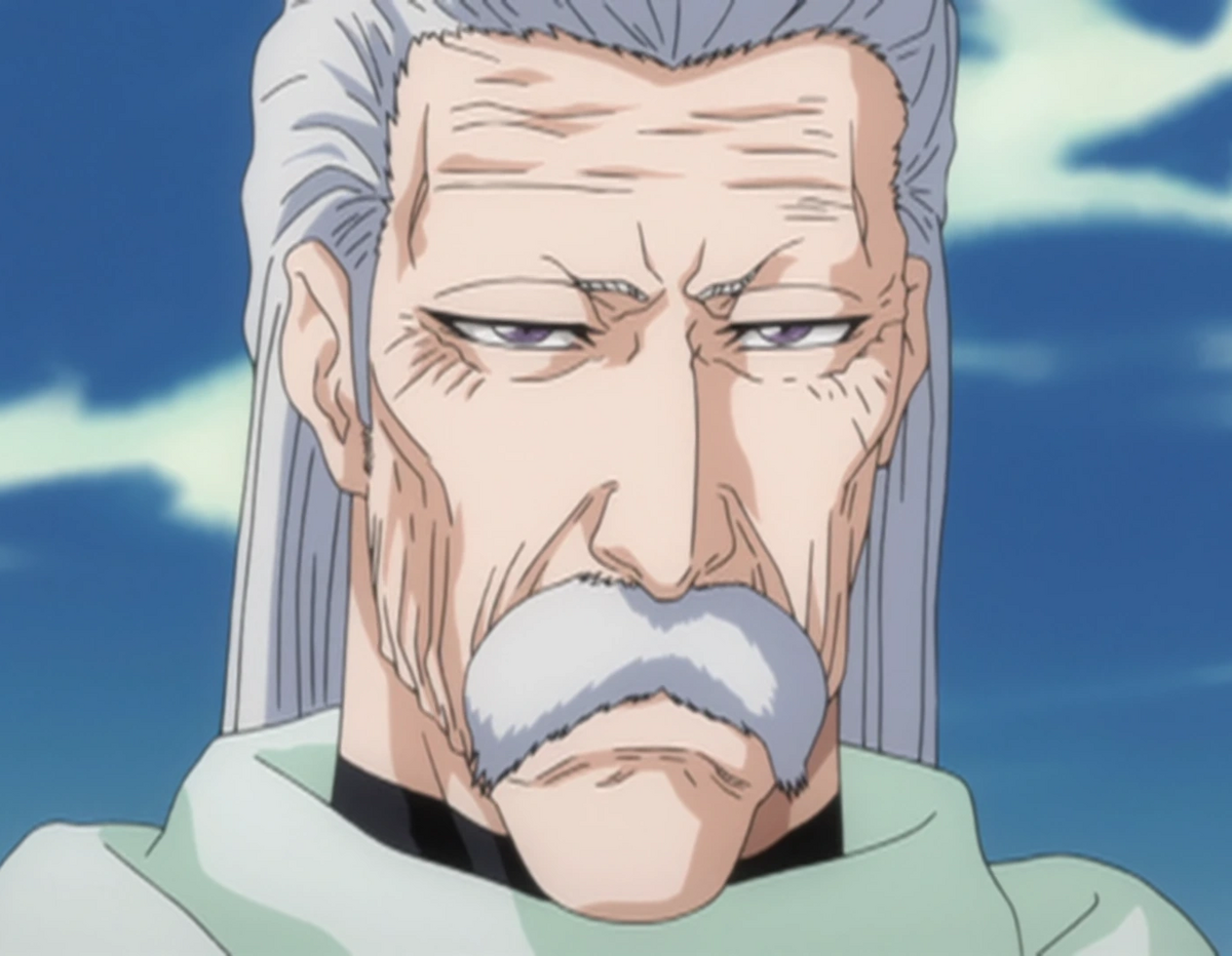 Ginrei Kuchiki/Anime Continuity | Bleach Wiki | Fandom