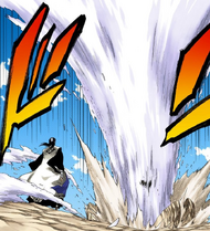 Ryoka Invasion | Bleach Wiki | Fandom