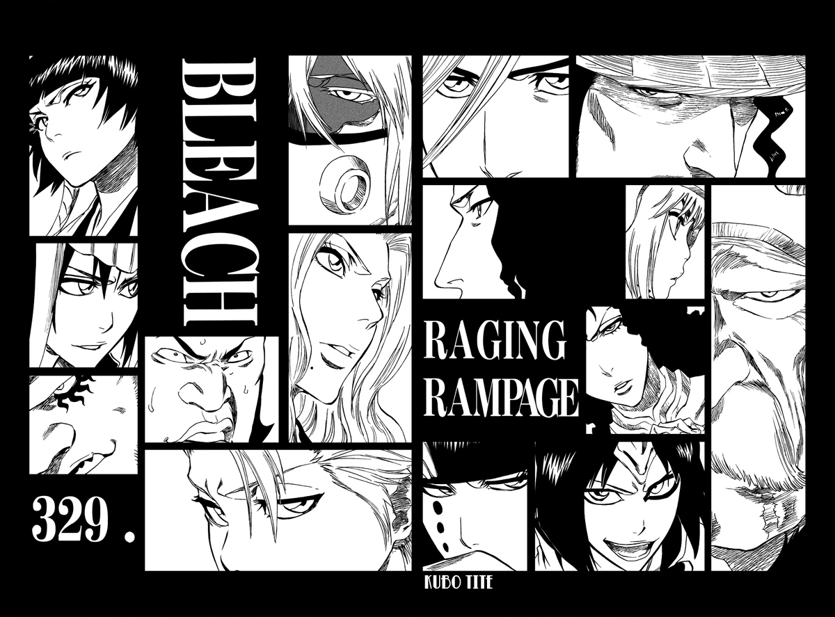 Chapitre 329 | Bleach Wiki | Fandom