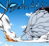 Hooleer/Image Gallery | Bleach Wiki | Fandom