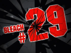 Breakthrough! The Shinigami's Encompassing Net | Bleach Wiki | Fandom