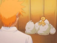 Greetings from a Stuffed Lion | Bleach Wiki | Fandom