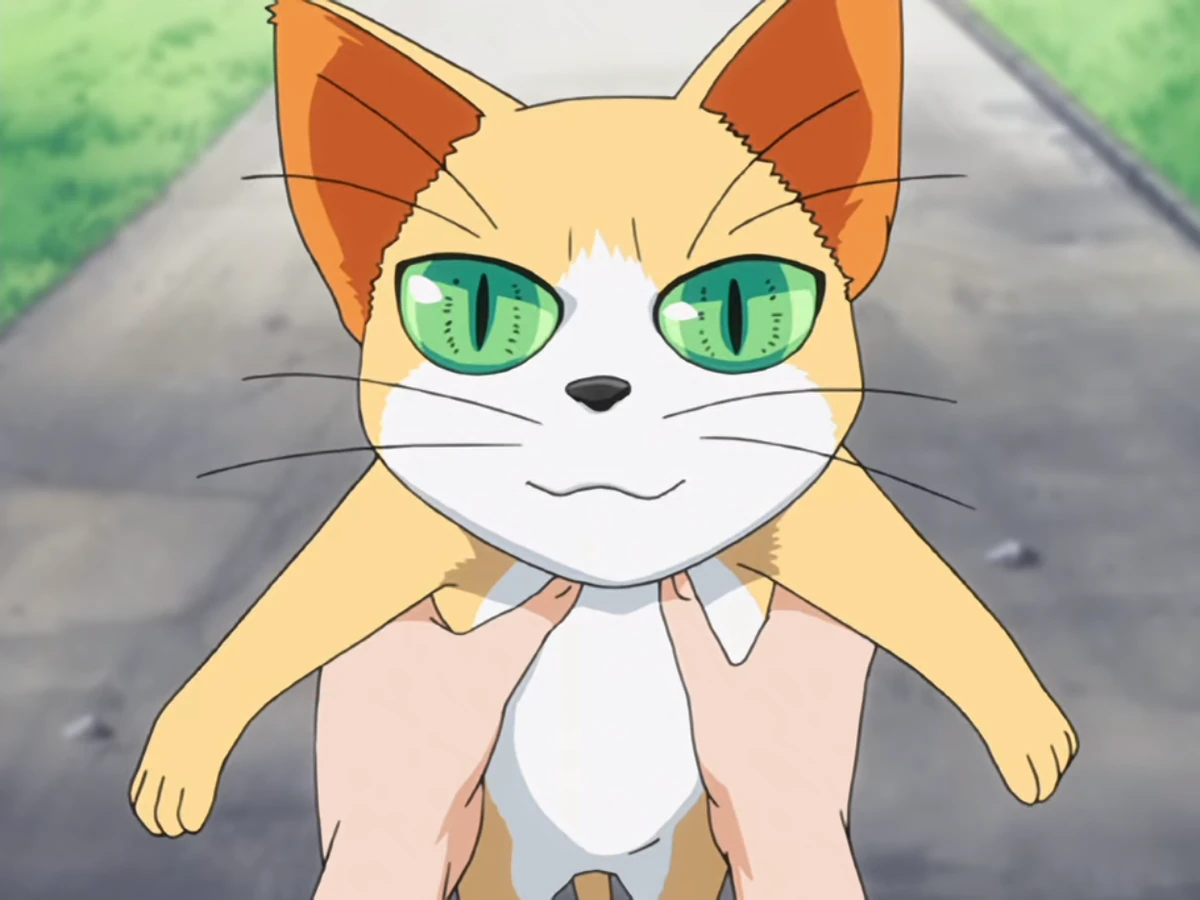 Raku | Bleach Wiki | Fandom