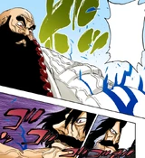 Ichibē Hyōsube/Galería | Bleach Wiki | Fandom