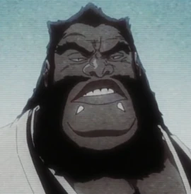 Kenpachi Kiganjô | Bleach Wiki | Fandom