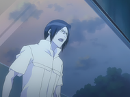 Good Bye Halcyon Days | Bleach Wiki | Fandom