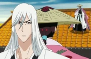 Jūshirō Ukitake | Bleach Wiki | Fandom