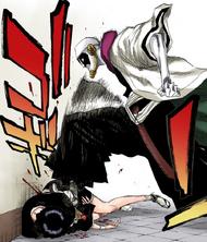 Ryoka Invasion | Bleach Wiki | Fandom