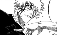 Byakurai | Bleach Wiki | Fandom