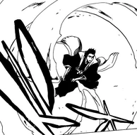 Isshin Kurosaki | Bleach Wiki | Fandom