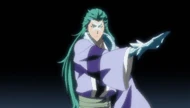 Hyōrinmaru (Zanpakutō spirit)/Anime Continuity | Bleach Wiki | Fandom
