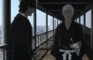 SHADOWS GONE | Bleach Wiki | Fandom