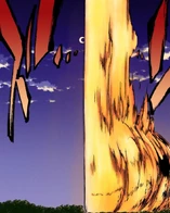 Dankū/Image Gallery | Bleach Wiki | Fandom